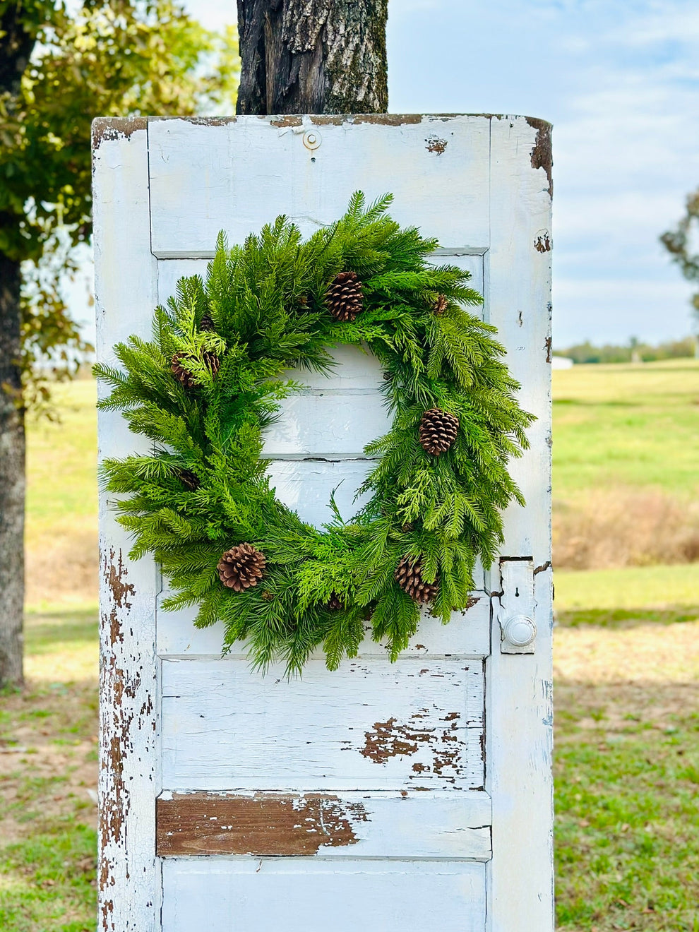 Natural Real Touch Mixed Winter Evergreen Front Door Winter Wreath ...